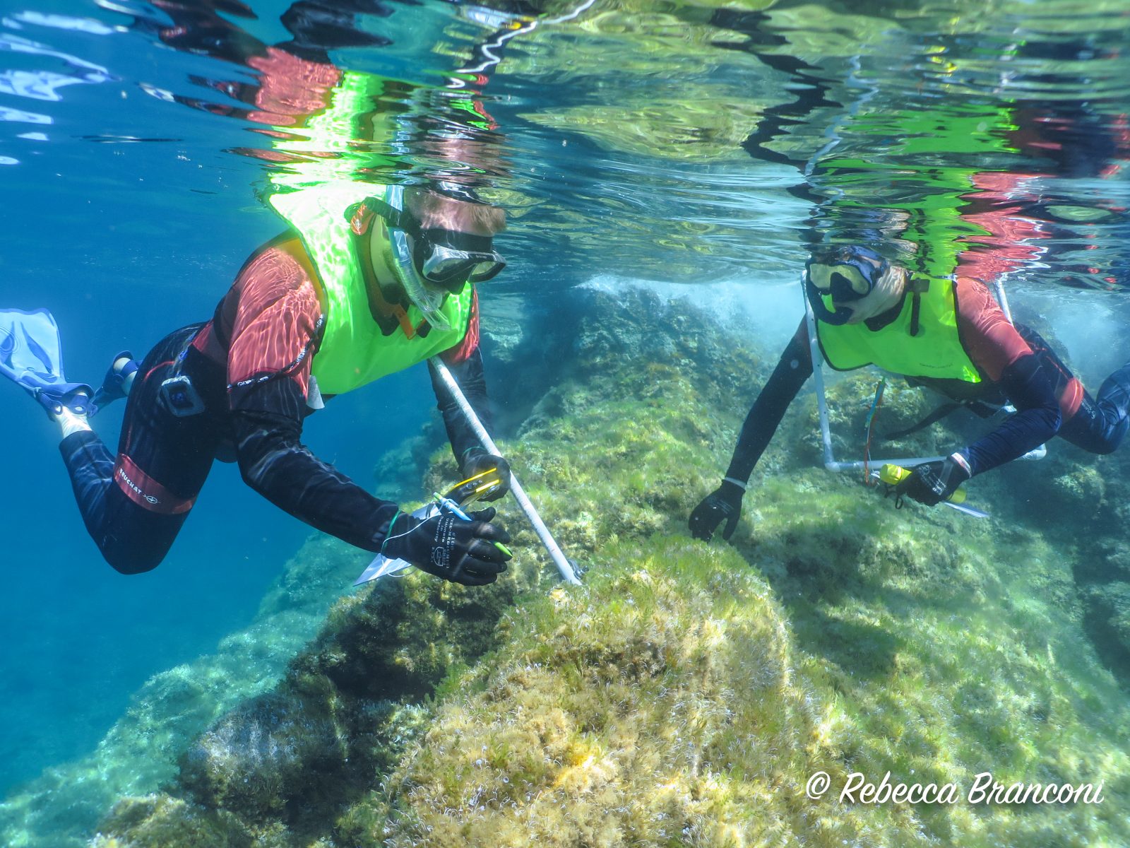 Student Spotlight: Patrick Conboy’s Journey in Marine Biology - ISI Florence - Study Abroad in ...