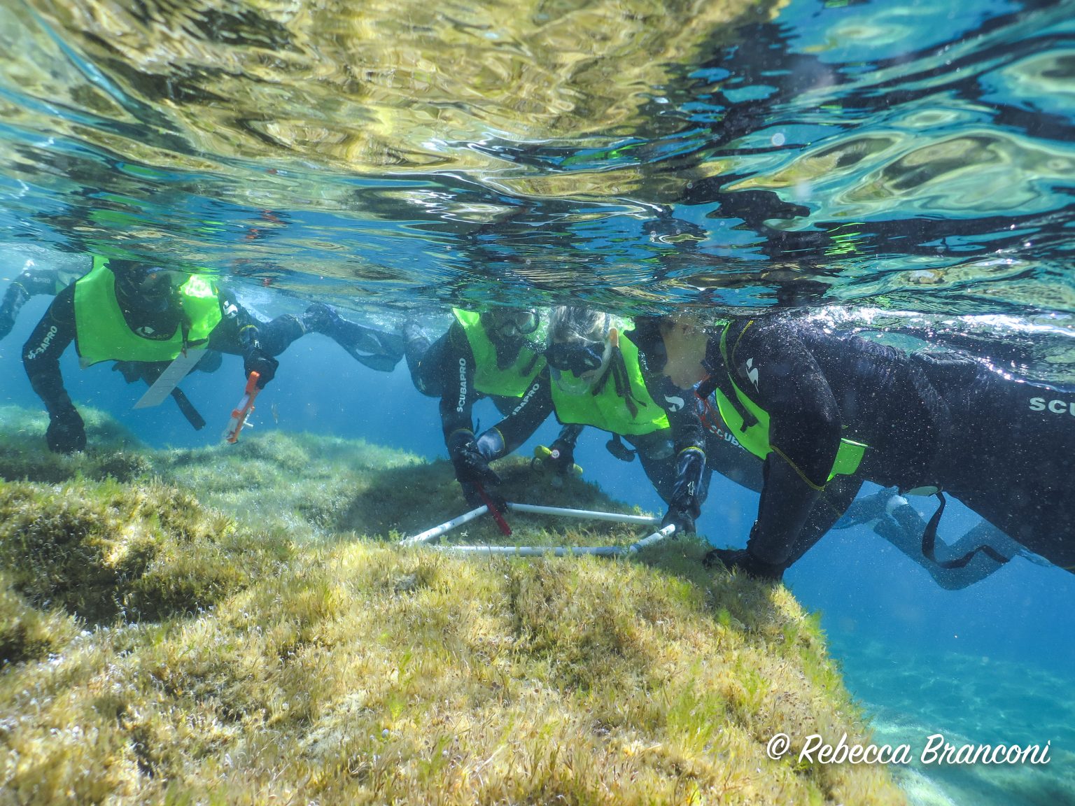 Student Spotlight: Patrick Conboy’s Journey in Marine Biology - ISI Florence - Study Abroad in ...