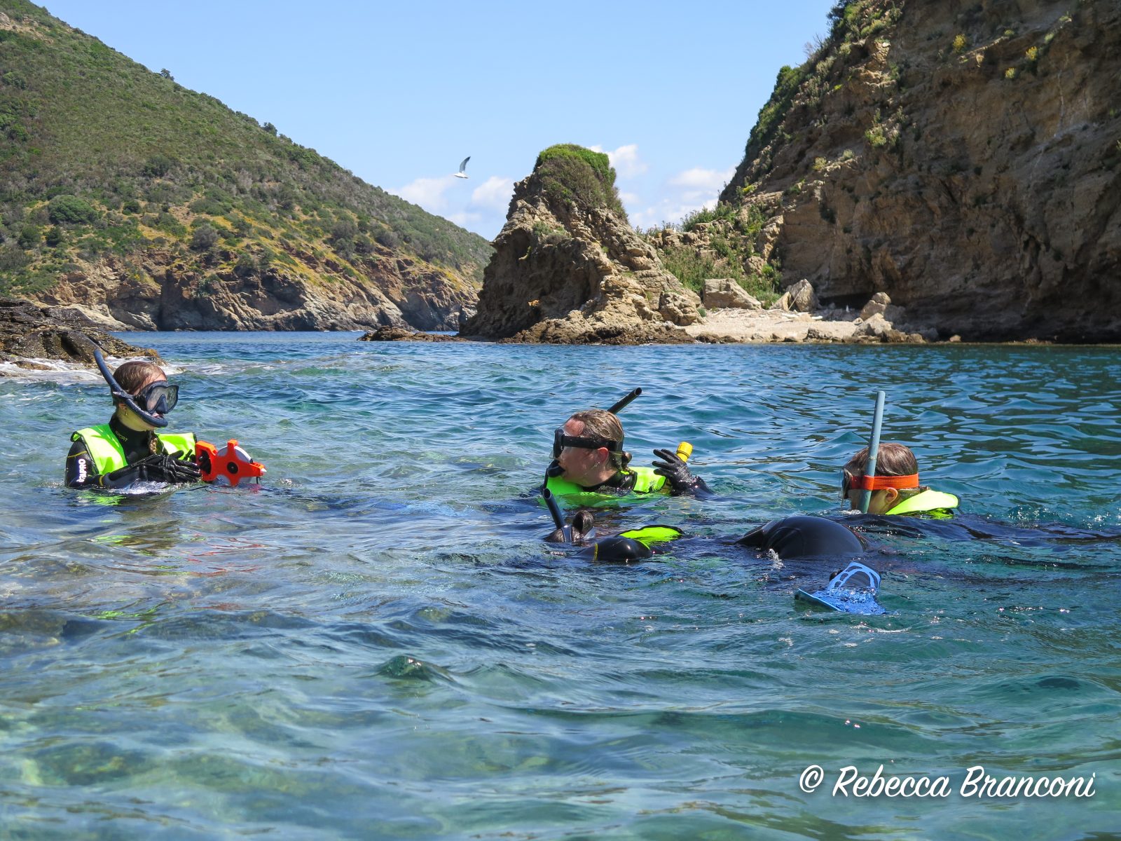 Student Spotlight: Patrick Conboy’s Journey in Marine Biology - ISI Florence - Study Abroad in ...