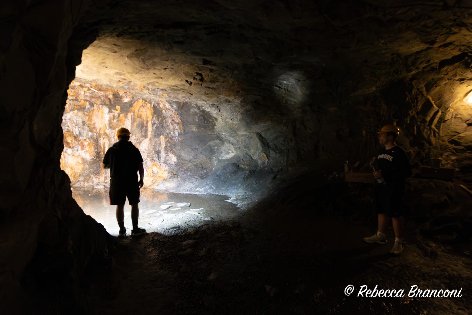 Student Spotlight: Patrick Conboy’s Journey in Marine Biology - ISI Florence - Study Abroad in ...